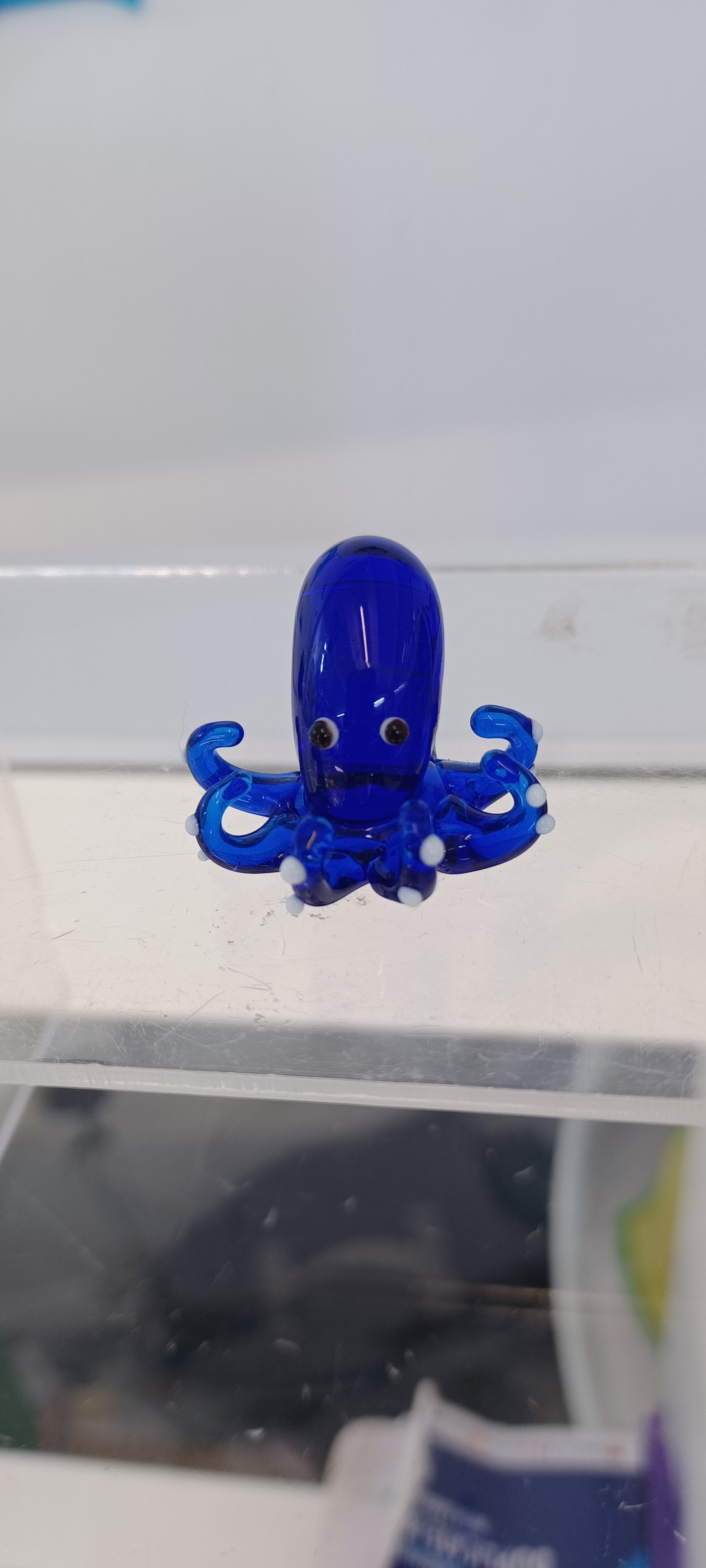 Glass Octopus – Magical Glass Creations